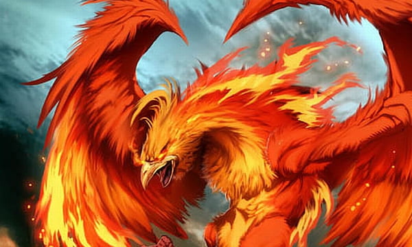 We all talked about the dragon lovers buy... any phoenix lovers here ...