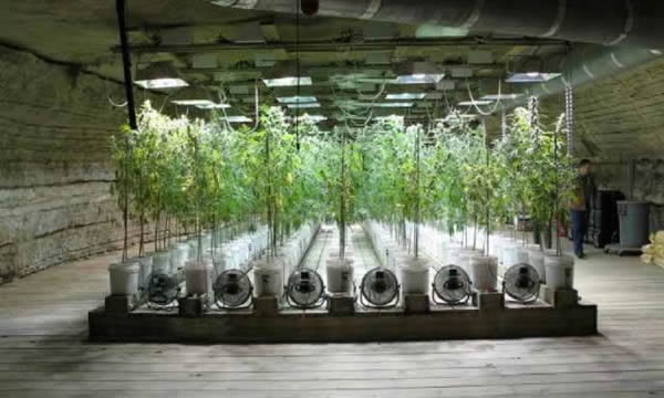 Secret underground pot farm with an escape rock. - 9GAG
