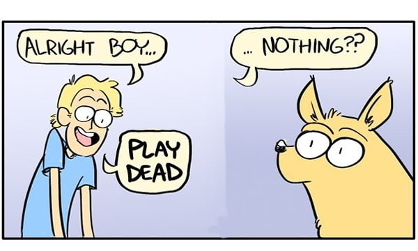 Play dead - 9GAG