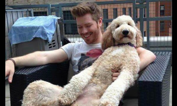 Such dog, much wow - 9GAG