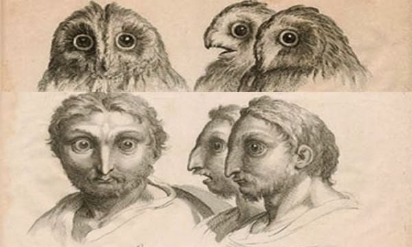 If humans evolved from different animals - 9GAG