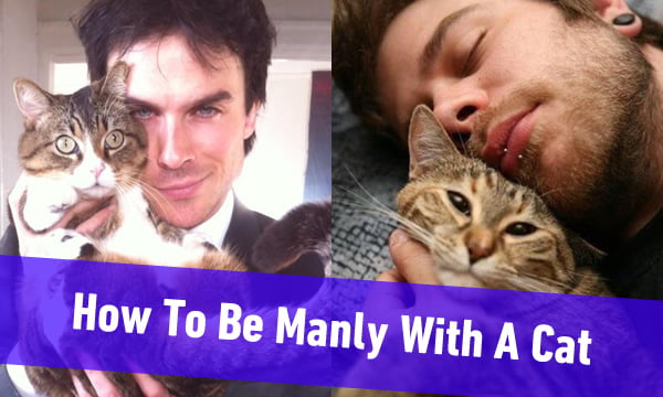 17 Pictures Show You How To Be Manly With A Cat - 9GAG