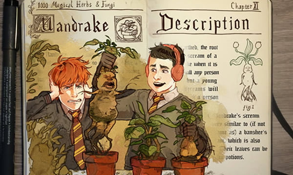 Amazing Illustrations Of Famous Magical Elements And Spells From Harry ...