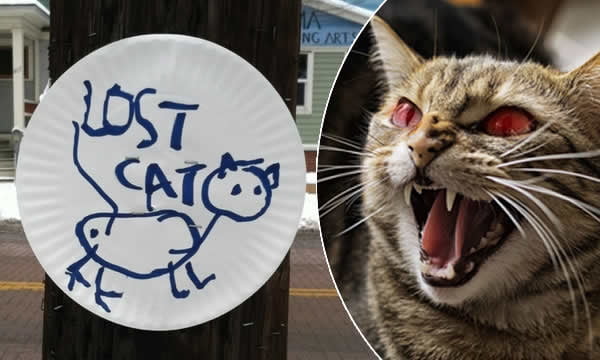 15 Humans who don't really want to find their missing cats with these posters - 9GAG