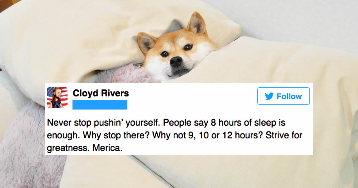 19 Accurate Tweets That Give You Legit Reasons To Stay In Bed Forever ...