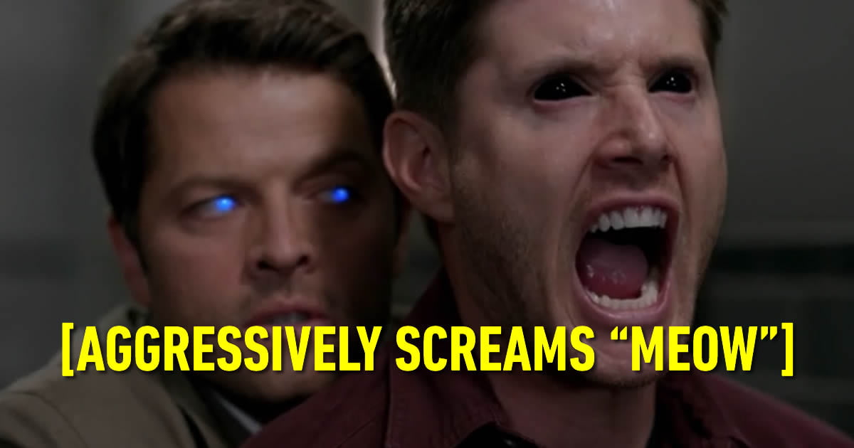 Funniest captions *Peanuts growling* lol - 9GAG