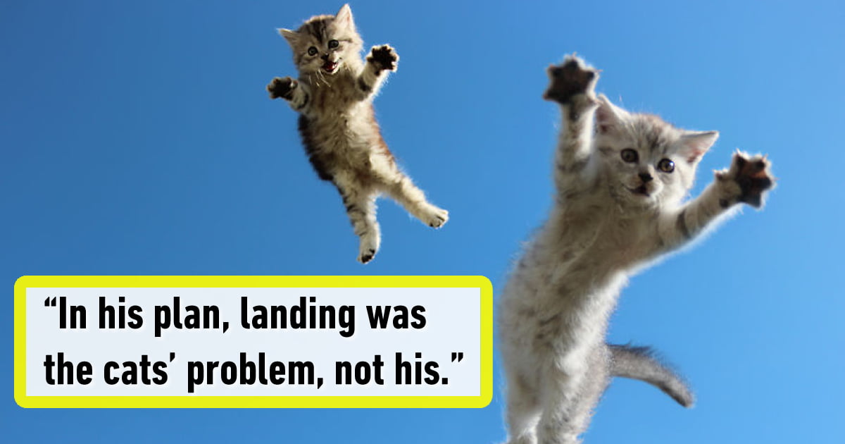 Hysterical Tale About A Skydiving Dude Dropping Cats Out Of A Plane - 9GAG