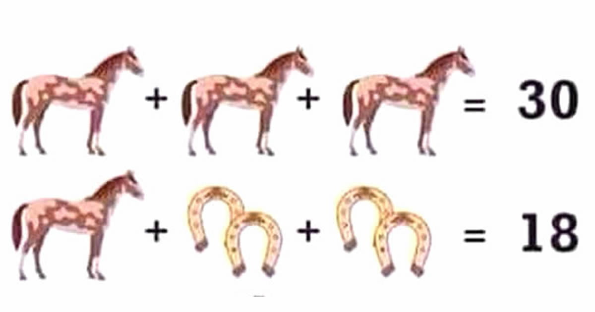 This simple horse algebra question can YOU solve it? - 9GAG