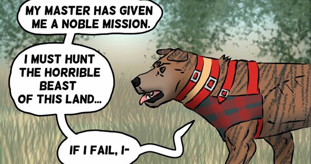 The Legend of how kangaroo was beaten by one punch man - 9GAG