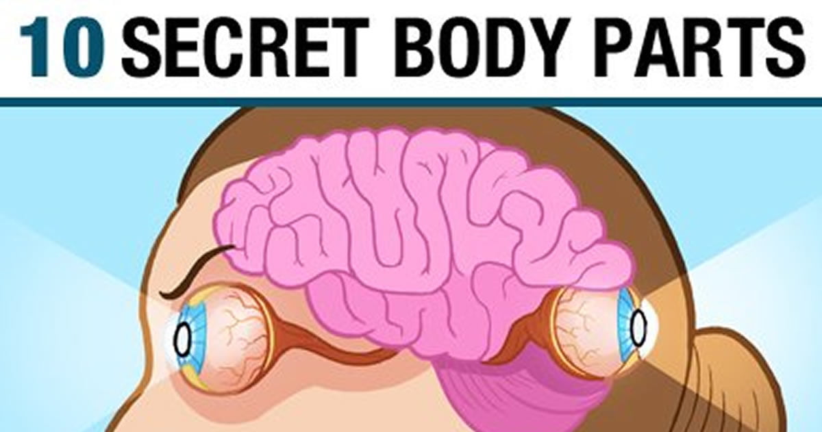 10 Secret Body Parts You Didn't Know You Had - 9GAG