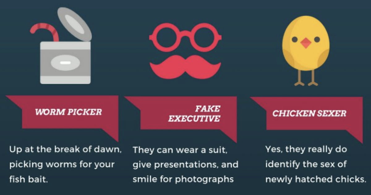 18 Extraordinary Jobs You May Be Qualified For - 9GAG