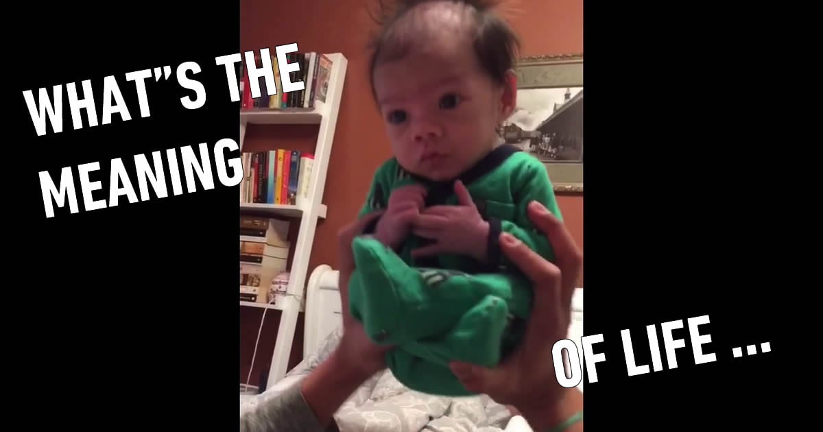 Smite me, I mighty smiter. - 9GAG