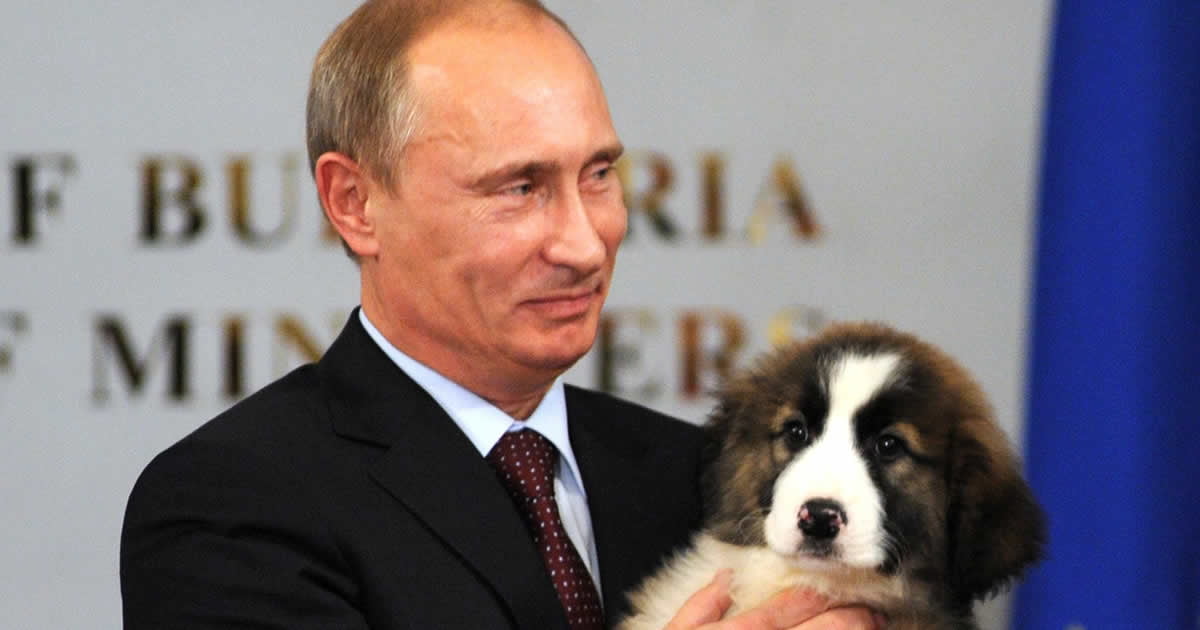 Putin received a new dog for his birthday, a name needed for his new ...