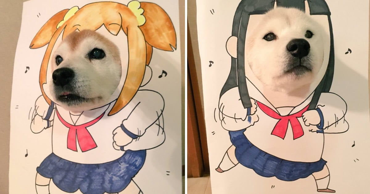 Hooman Creates Outfits For Doge And The Result Is Hilarious - 9GAG