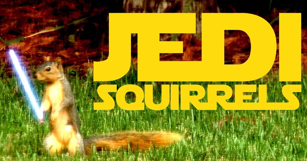 Star wars: Revenge of the Squirrel. - 9GAG