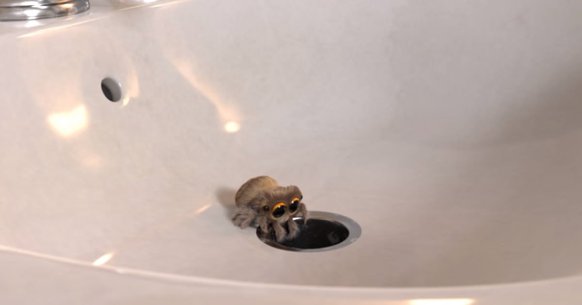 This pretty damn cute - 9GAG