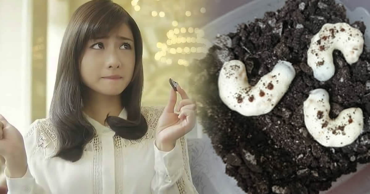 Japanese Girls Give "Chocolate Maggots" To Show They Have No Romantic ...