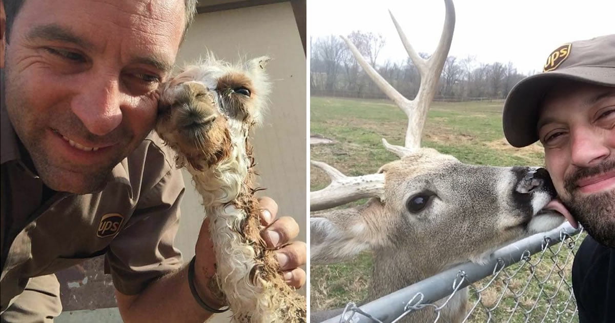 UPS Drivers Have Made Friends With New Adorable Animals On Their Routes ...