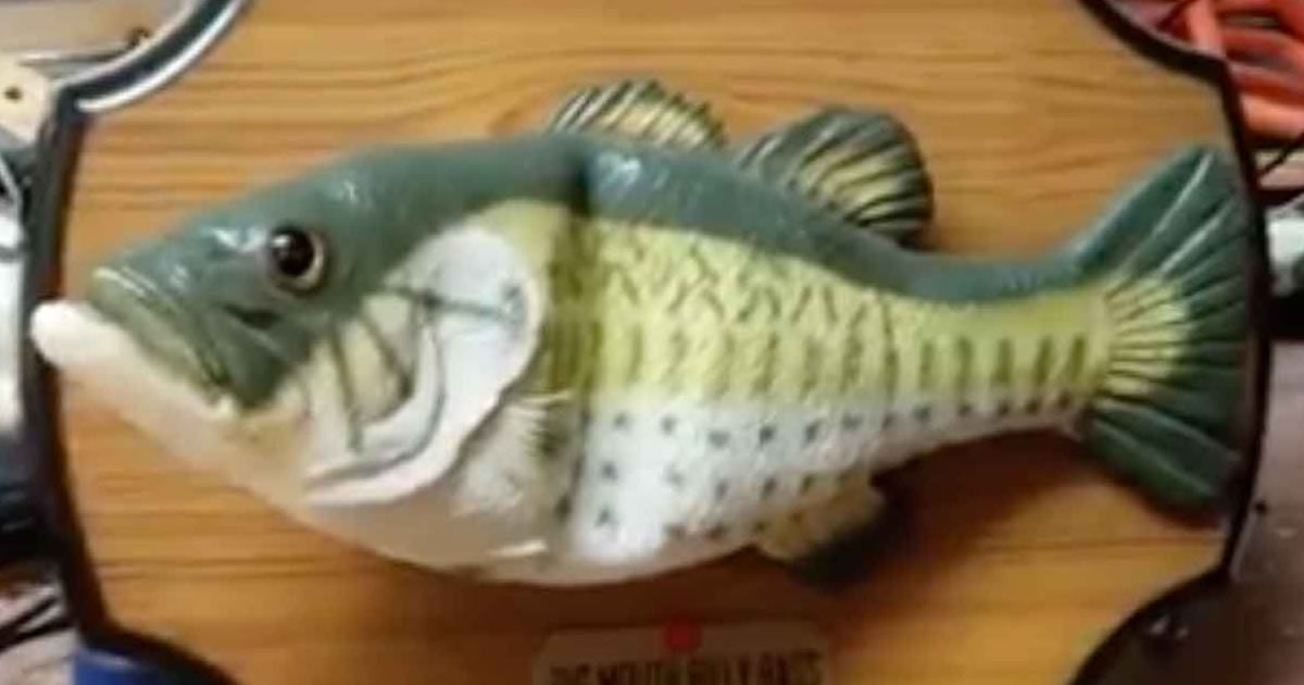 Then drop on the deck and flop like a fish - 9GAG