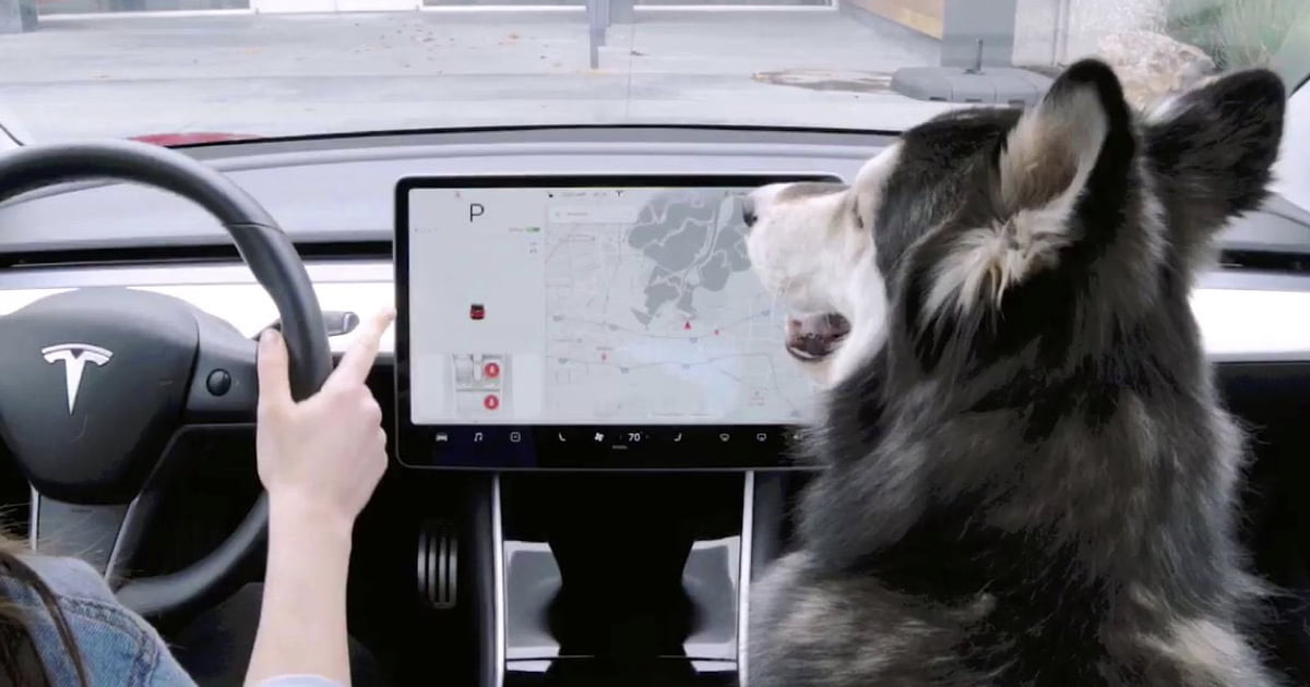 Tesla Launches 'Dog Mode' And ‘Sentry Mode’ To Guard Your Pets And Car ...