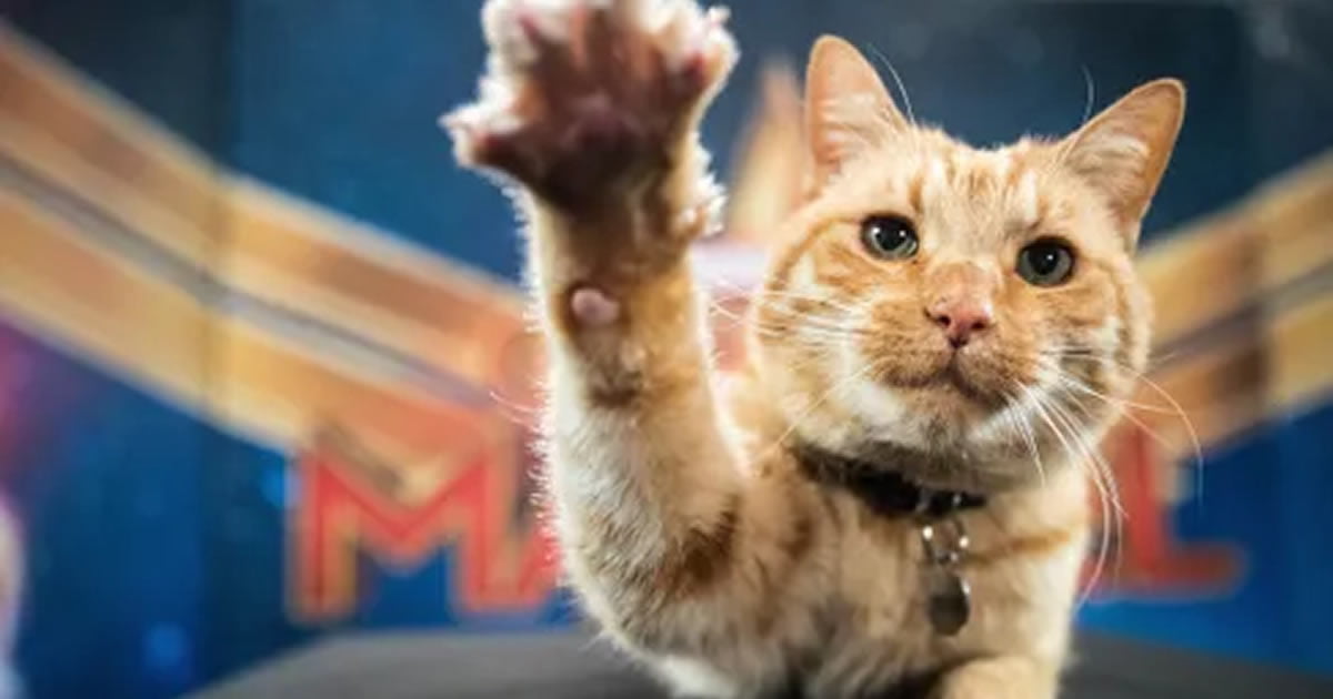 Captain Marvel Scored The Biggest Opening Weekend For A Movie Starring ...