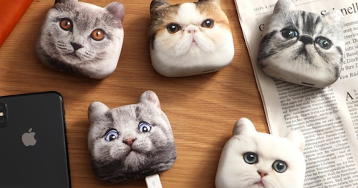 Charge Your Phone With This Portable Cat Battery - 9GAG