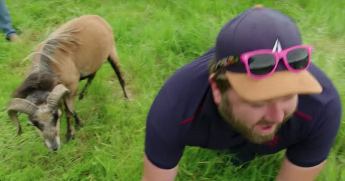 BBC Cameraman Gets Head From A Sheep And Busts A Nut - 9GAG