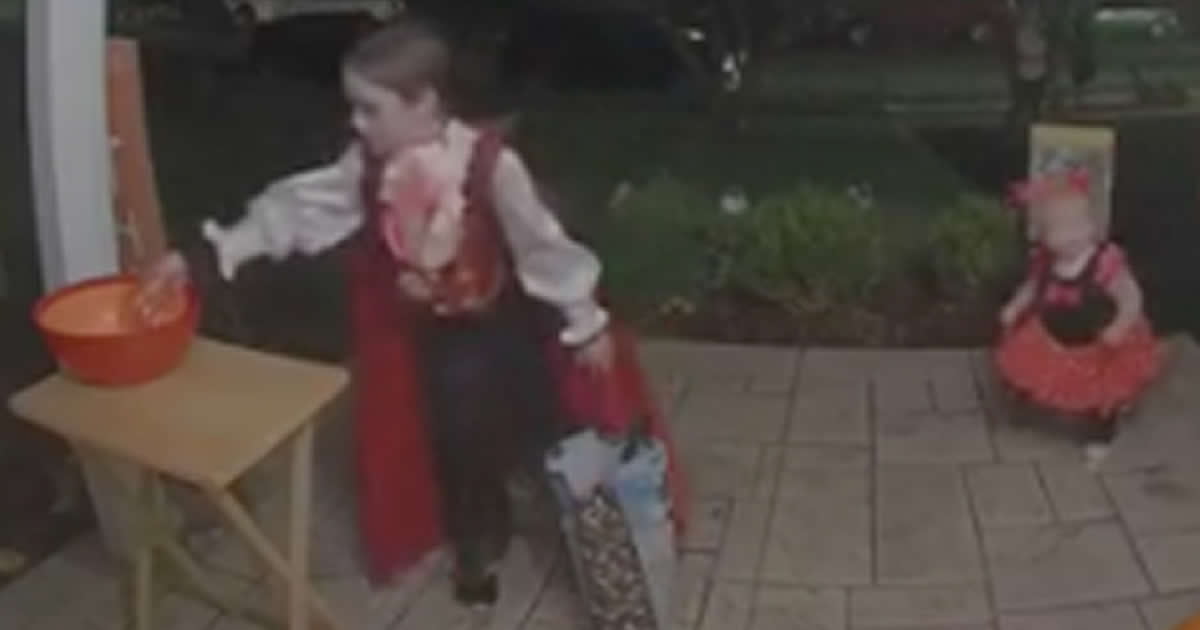 Little boy noticed someone took all the Halloween candy, then fills ...