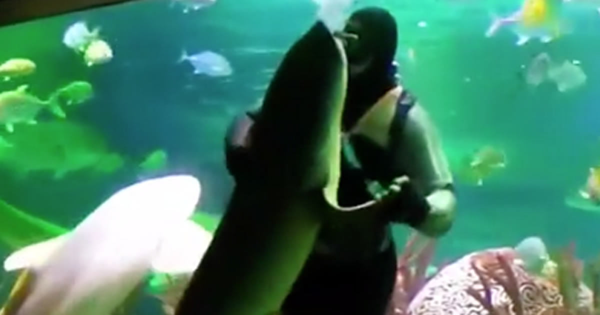 Dancing with fish - 9GAG