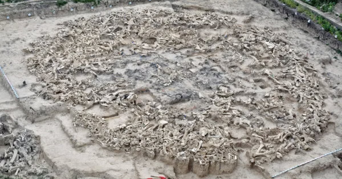 Ice Age Structure Made From Hundreds Of Mammoth Bones Discovered In ...