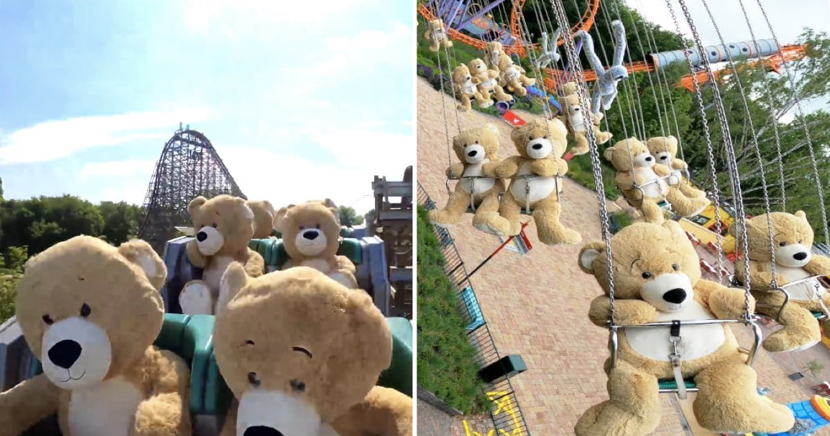Oversized Teddy Bears Take Over Theme Park Roller Coaster And Super ...