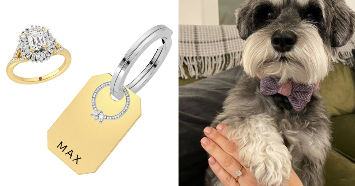 You Can Now Buy A Pendant To Match Your Dog's Collar To Your Engagement ...
