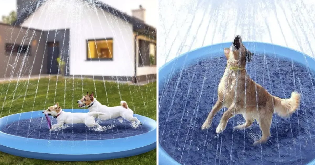 You Can Now Get Your Dog A Paddling Pool With Sprinklers - 9GAG