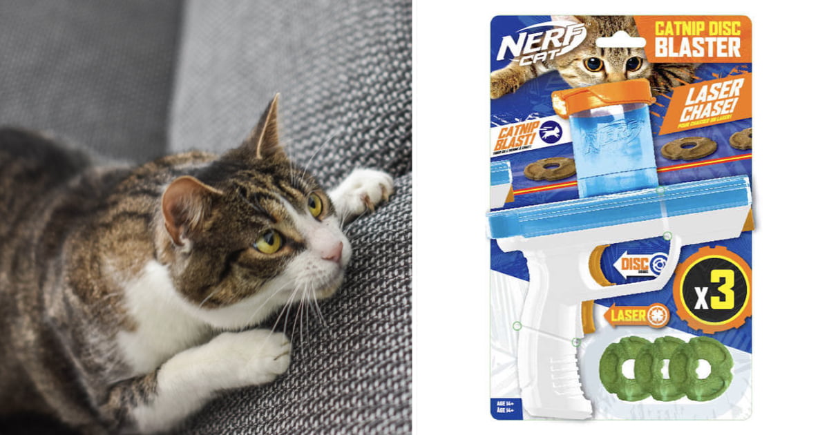 Nerf Launches Blaster For Cats That Shoots Catnip Discs - 9GAG