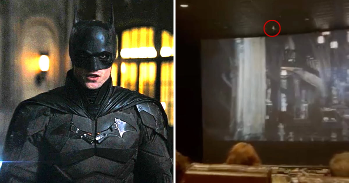 Real Bat Appears During 'The Batman' Screening - 9GAG