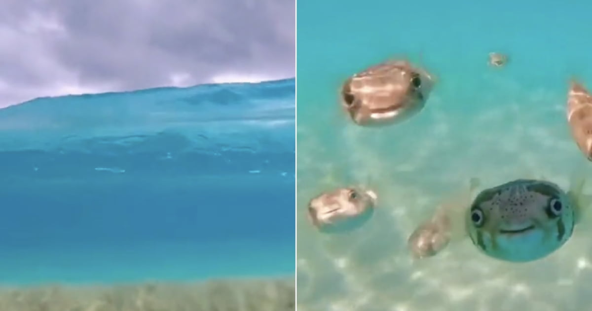 This view inside an ocean - 9GAG