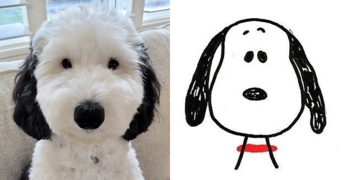Meet Bayley, Snoopy's Real-Life Doppelgänger - 9GAG