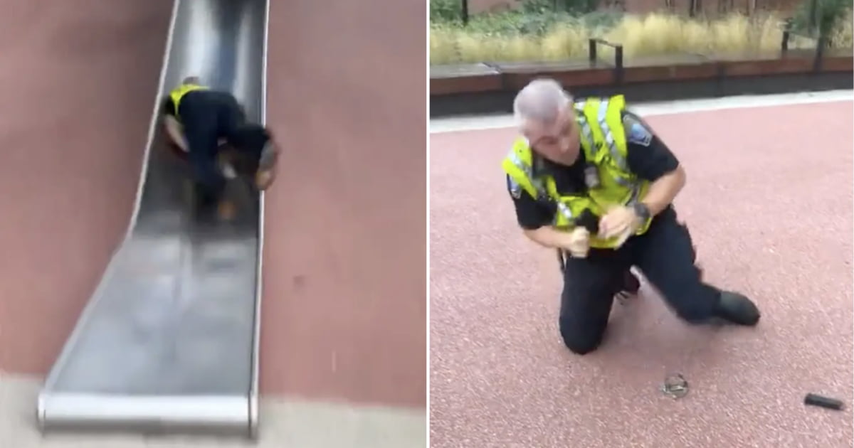 Cop Violently Launched Off Massive Park Slide In Viral Video - 9GAG