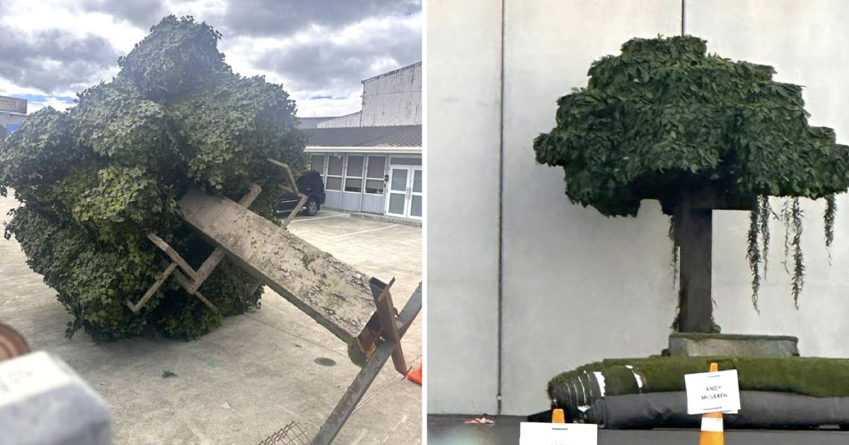 Behind-The-Scenes Leak Shows Tree From Live-Action 'Minecraft' Movie - 9GAG