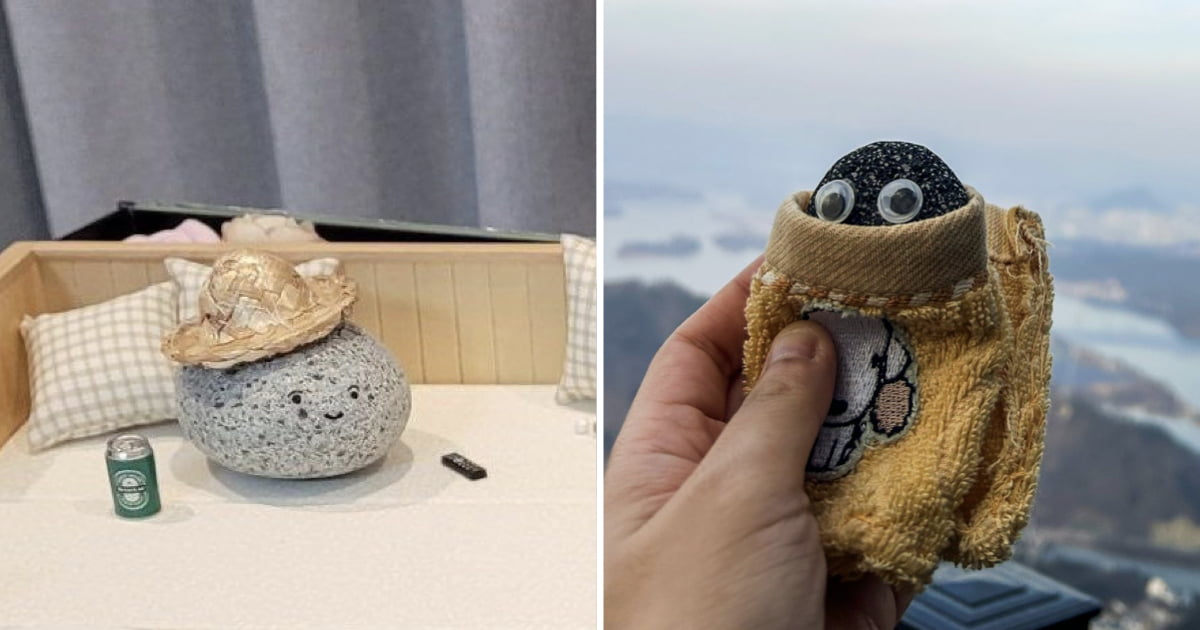South Koreans Are Getting Pet Rocks To Deal With Burnout And Loneliness ...