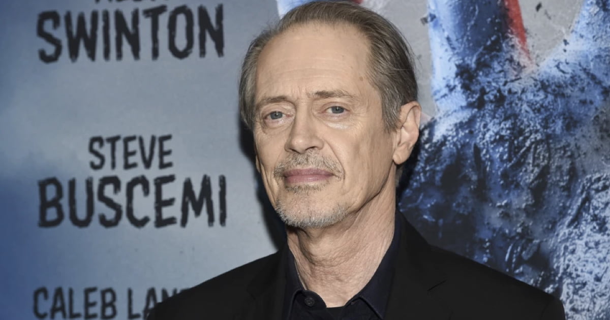 Steve Buscemi Got Punched While Walking In New York City - 9GAG