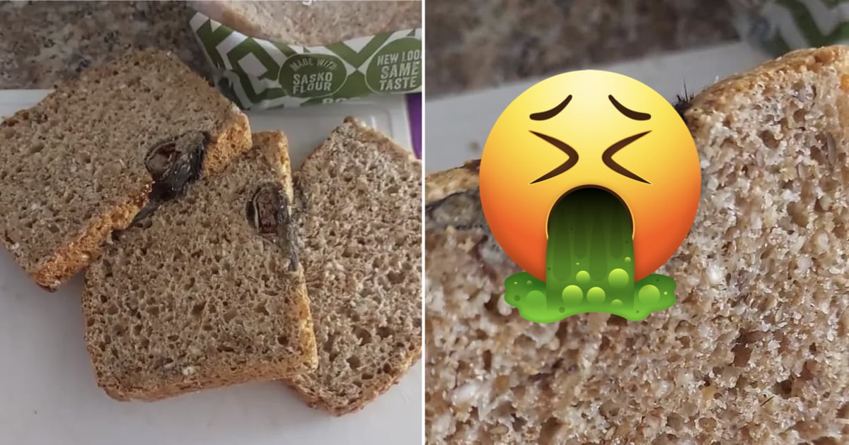 Woman Discovers Sliced Dead Rat In Loaf Of Bread After Already Consuming Some - 9GAG