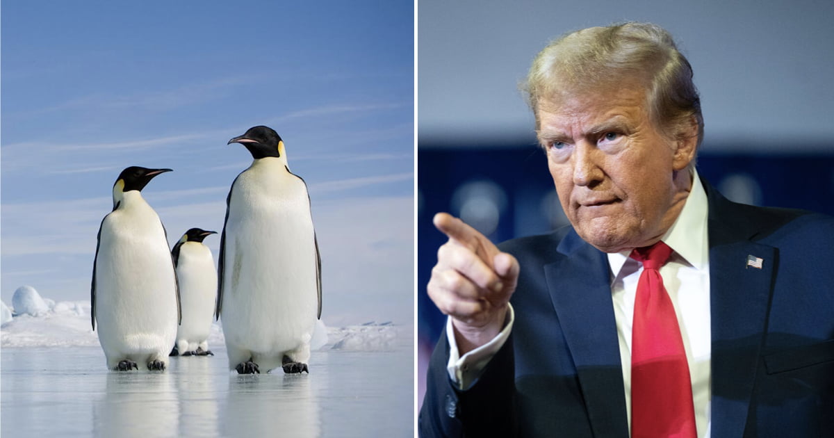 President Donald Trump Imposes Tariffs On Uninhabited Islands Near ...