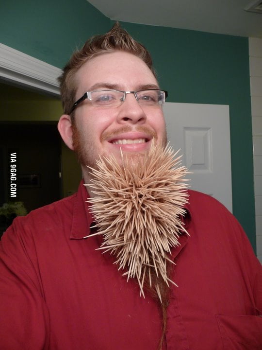 How many toothpicks I could fit in my goatee? 750. - 9GAG