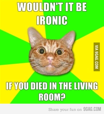 Ironic cat is ironic - 9GAG