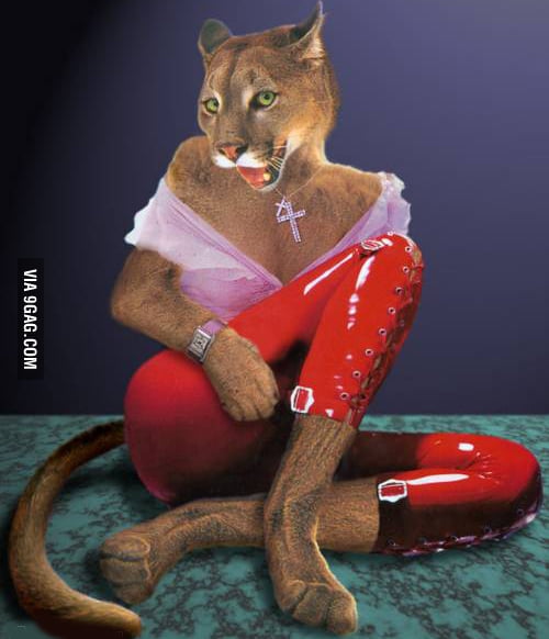 Real Furry - 9GAG