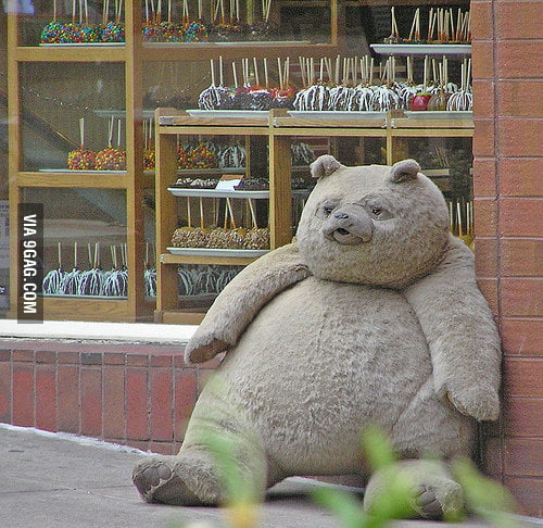 Poor teddy - 9GAG