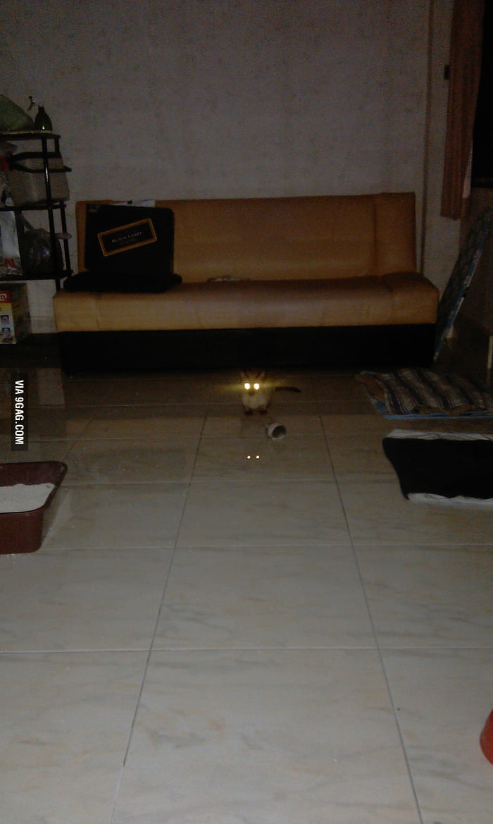 Optic Flash!! - 9GAG