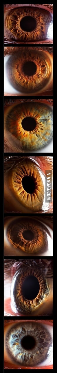 Look into my eye. - 9GAG