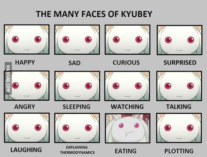 STIFF EXPRESSIONS OF YOUR ANIME PET , EXCEPTS IF HE'S HUNGRY - 9GAG